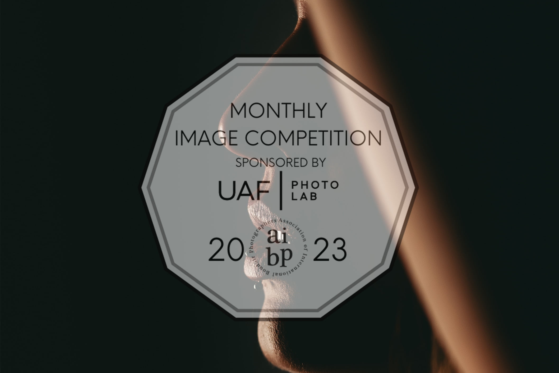 MONTHLY CHOICE SPONSORED BY UAF PHOTO LABS NOVEMBER 2023 | Association ...